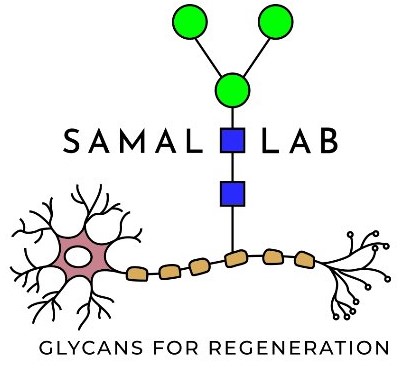 What are we up to? – Samal Lab
